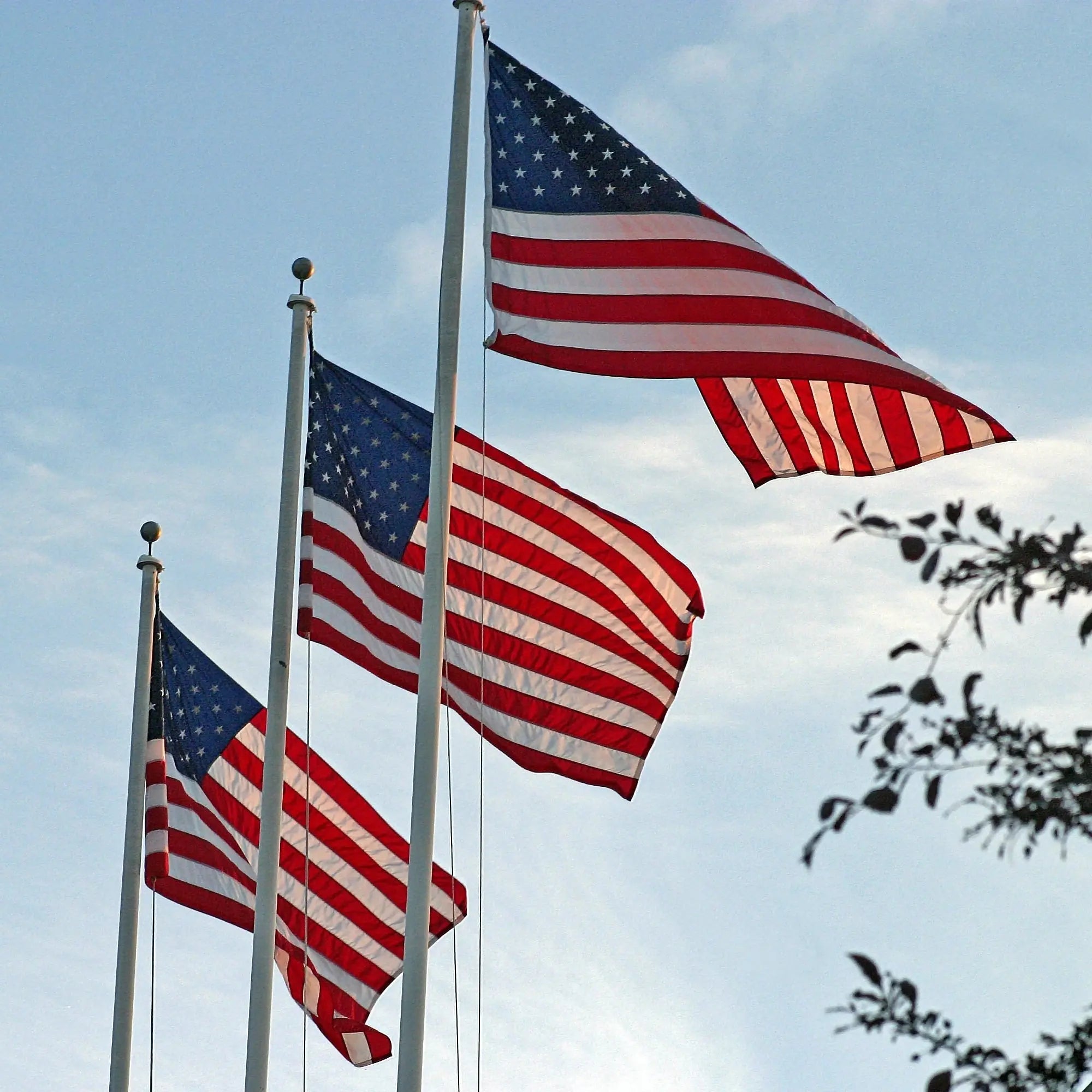 Flagpoles For Sale | Aluminum Flagpoles | Federal Flags – Federal Flags ...