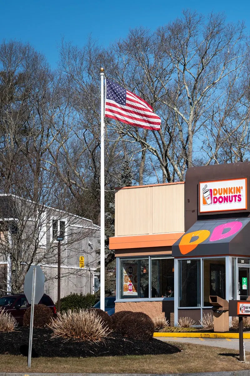 25 ft. Fiberglass Flagpole with Internal Cable Halyard - Federal ...