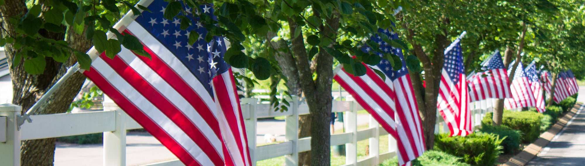 Flagpole Shoe Base | Flagpole Base | Flagpole Base Mount