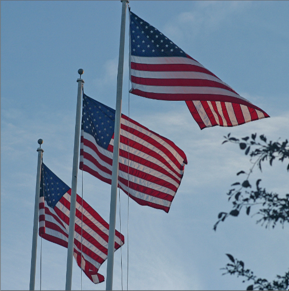 Flagpoles for Sale | Patriotic Flags | Federal Flags