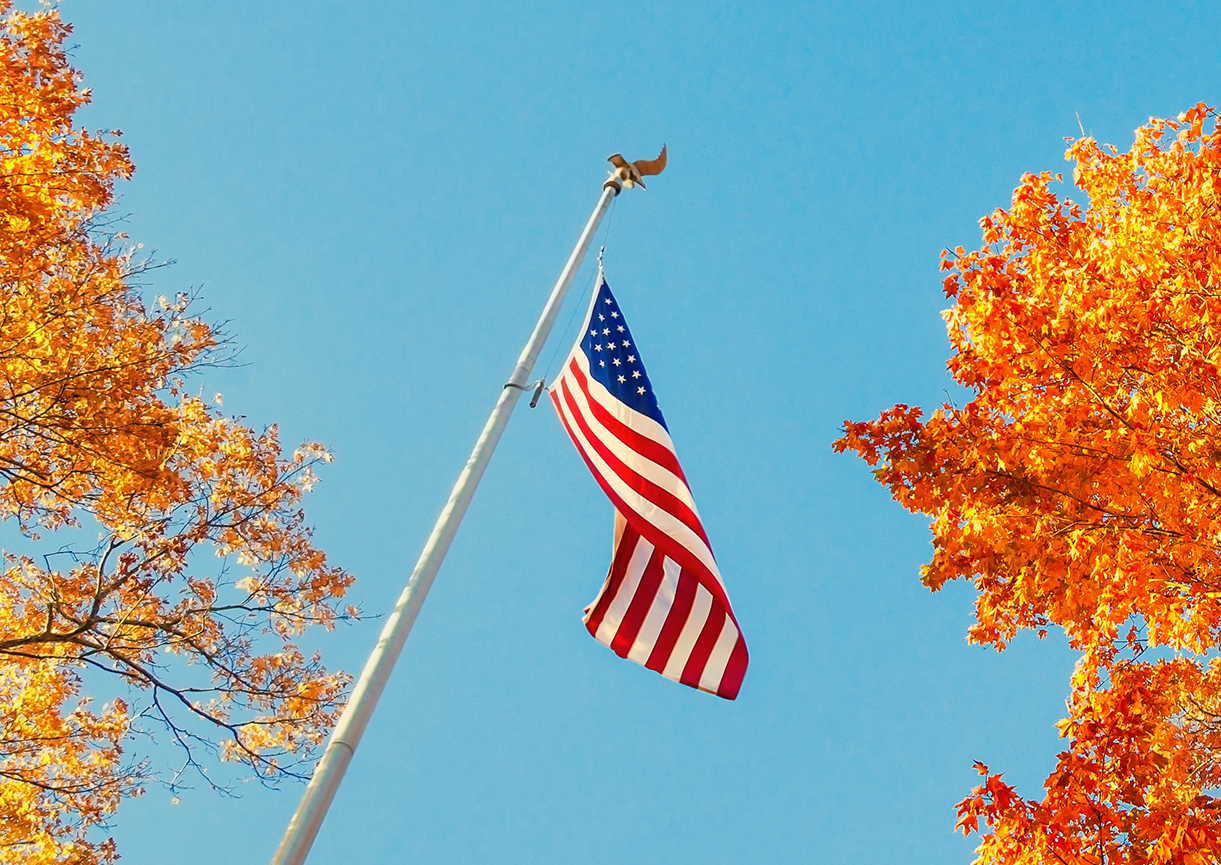 Flagpoles and Flags | Made in USA | Federal Flags™