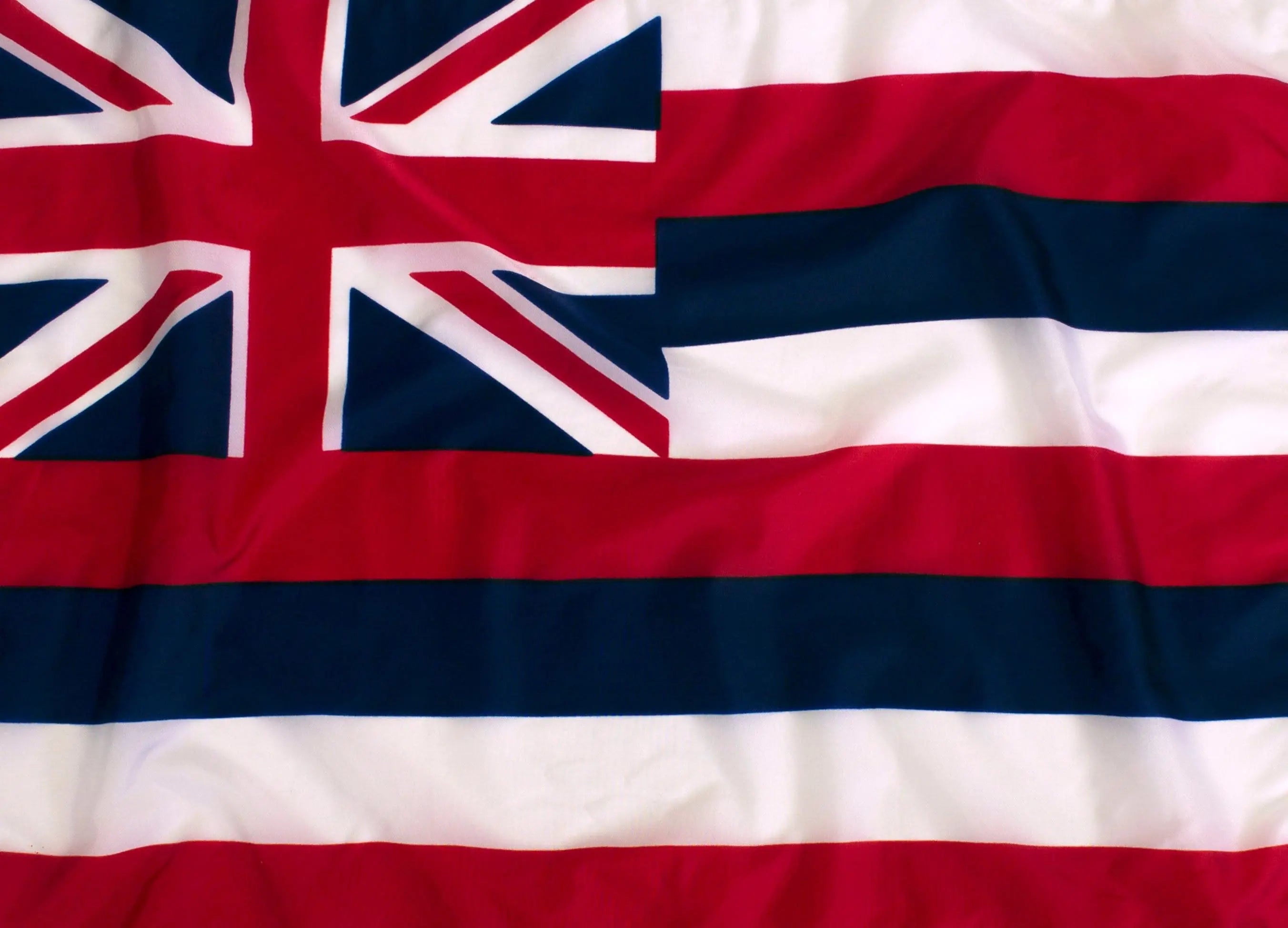 State of Hawaii Flag - Official Design and Specifications - Outdoor ...