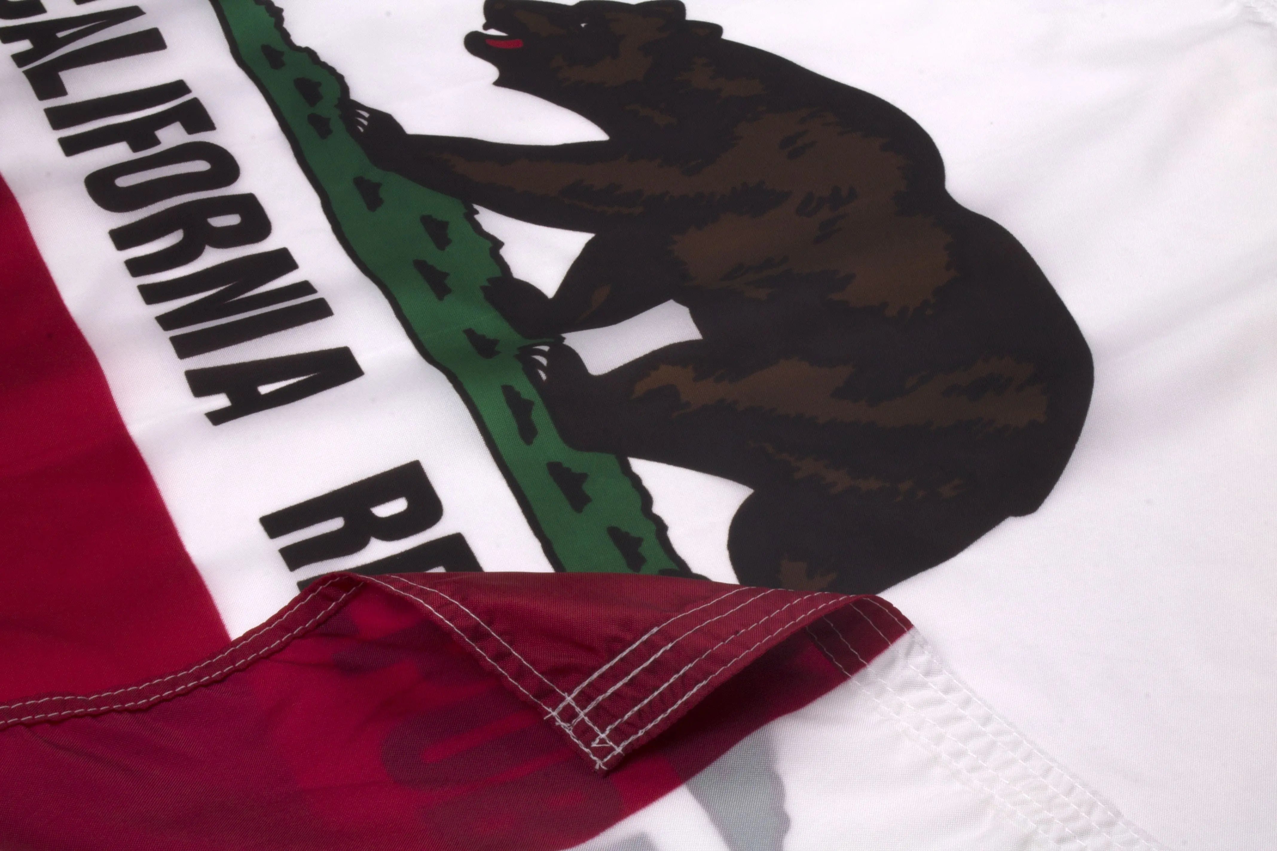 State of California Flag - Official Design and Specifications ...