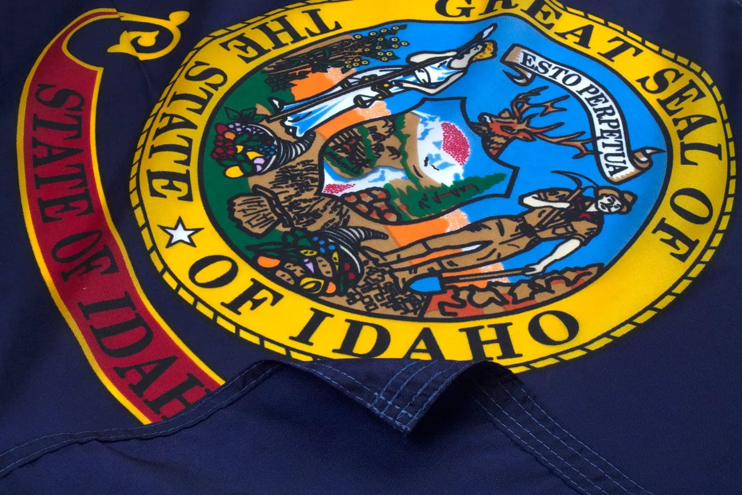 State of Idaho Flag - Official Design and Specifications - Outdoor Nyl